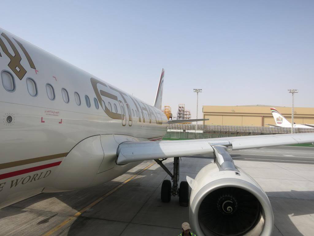 Woman Denied Boarding Because She Was Too Pale To Fly View From The Wing