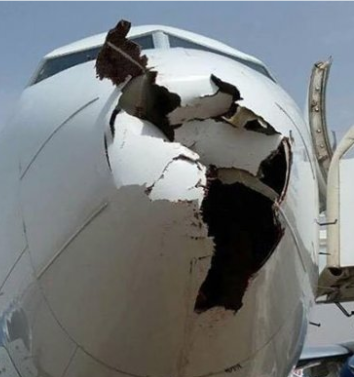 The Worst Bird Strike I've Ever Seen - View from the Wing