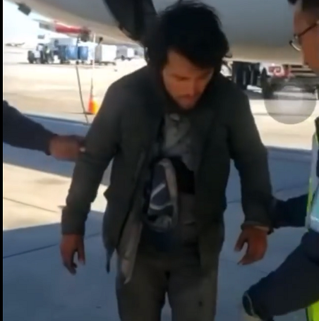 Video: Stowaway Found On American Airlines Flight That Landed In Miami ...