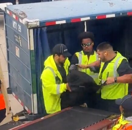 American Airlines Baggage Handlers Fight Over Passenger's Luggage ...