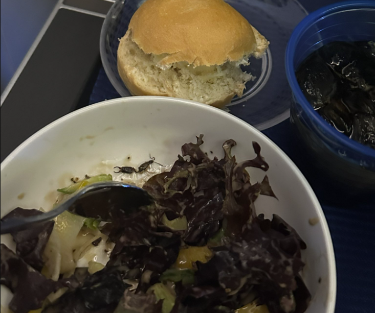 Dining Disaster: United Airlines Meal Mishap Leads To Unpleasant ...