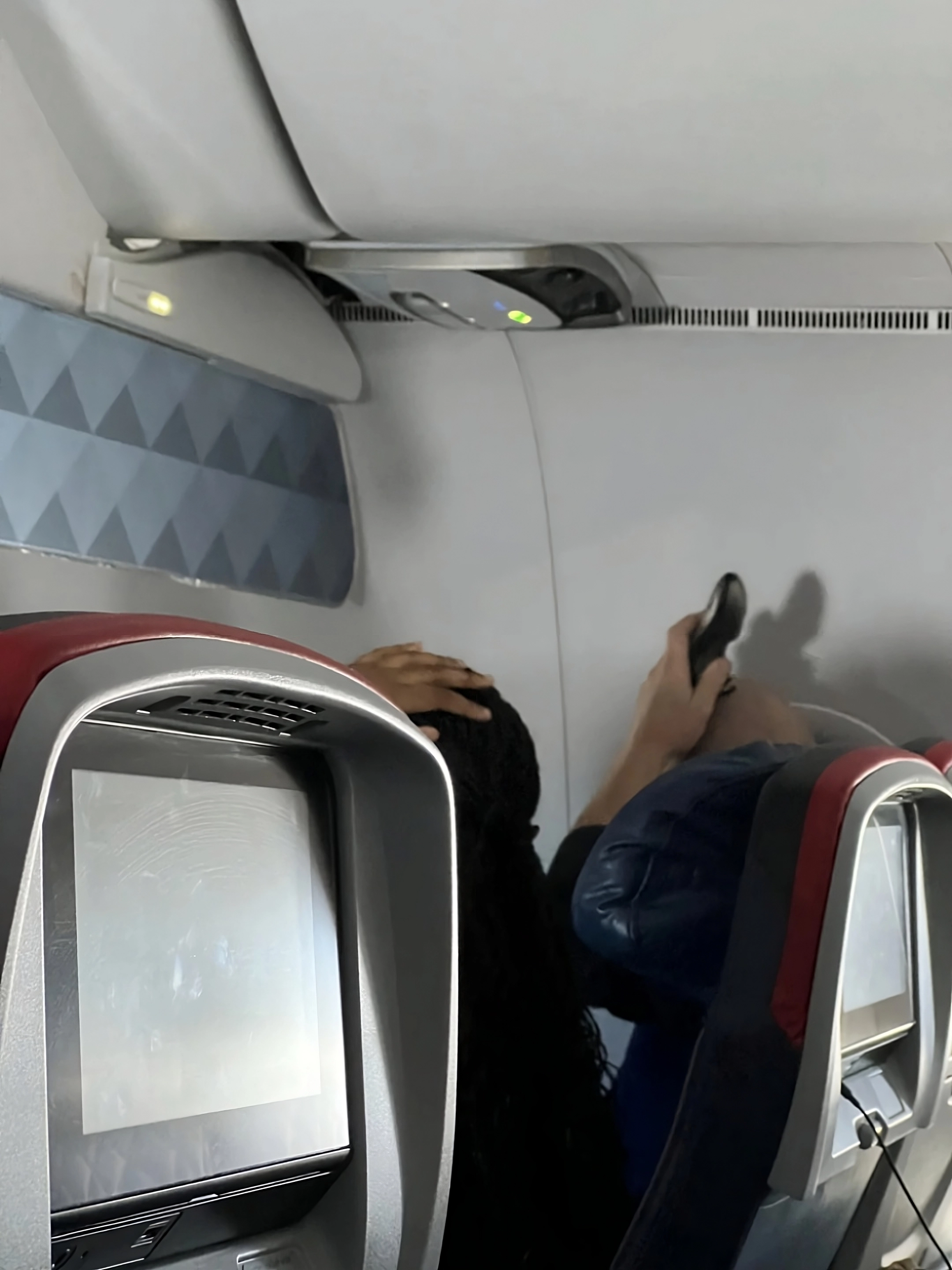 In-Flight Grooming Gone Wild: Man Turns Delta Seat Into Personal Barber Shop - View from the Wing