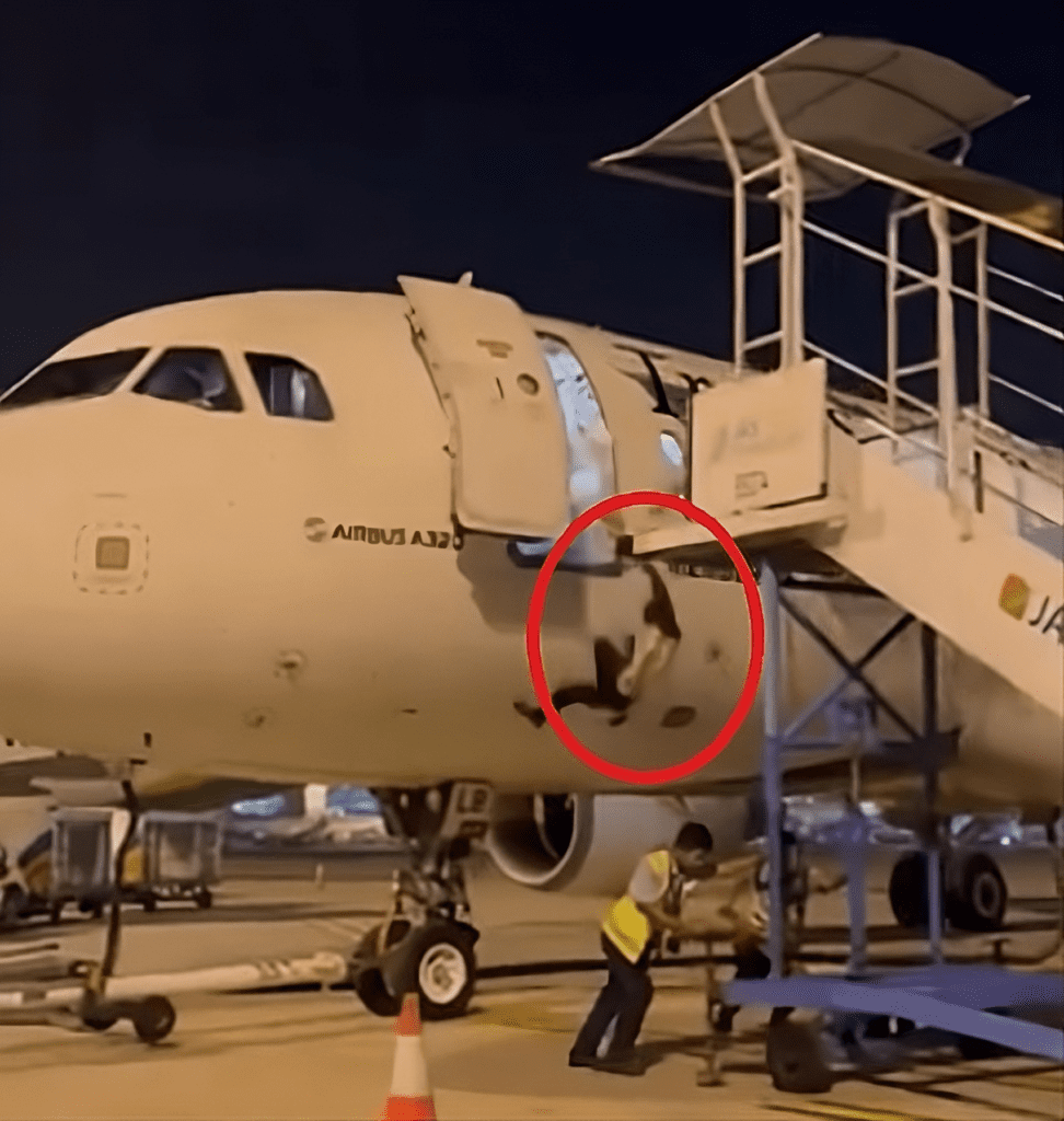 Shocking Video: Ground Handling Error Sends Airline Worker Plummeting ...