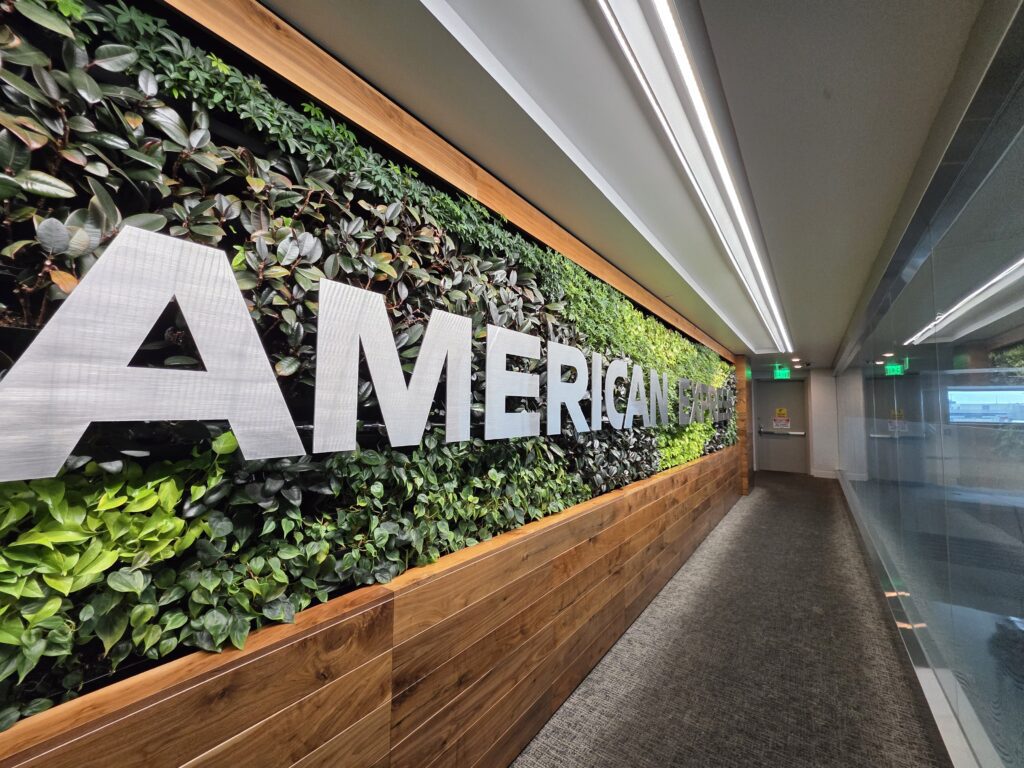 Member Since 2000: 25 Years Of Loyalty To Amex—All I Got Was Silence ...