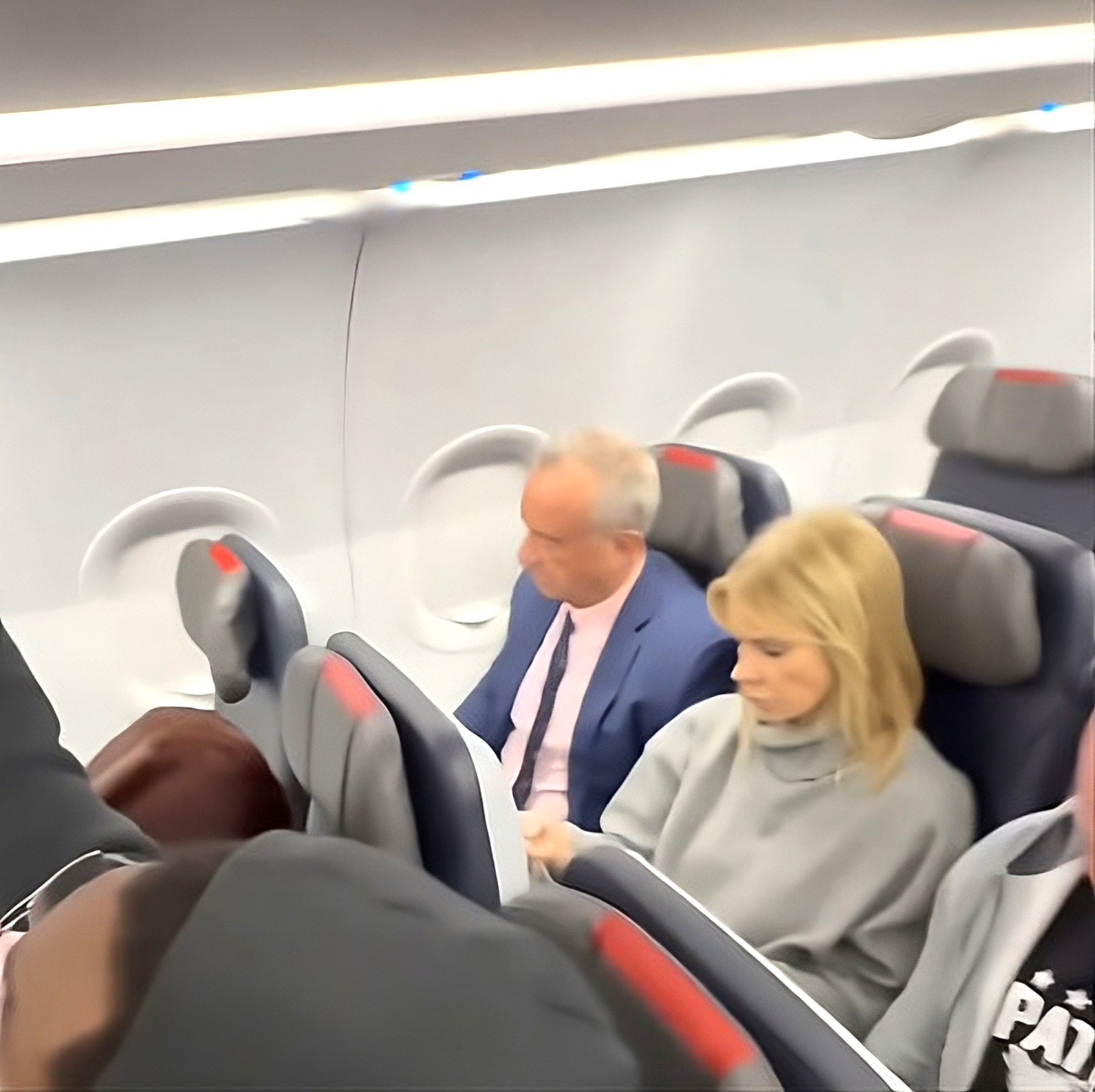 RFK Jr. and Cheryl Hines Fly American Airlines Coach—And She's In The ...