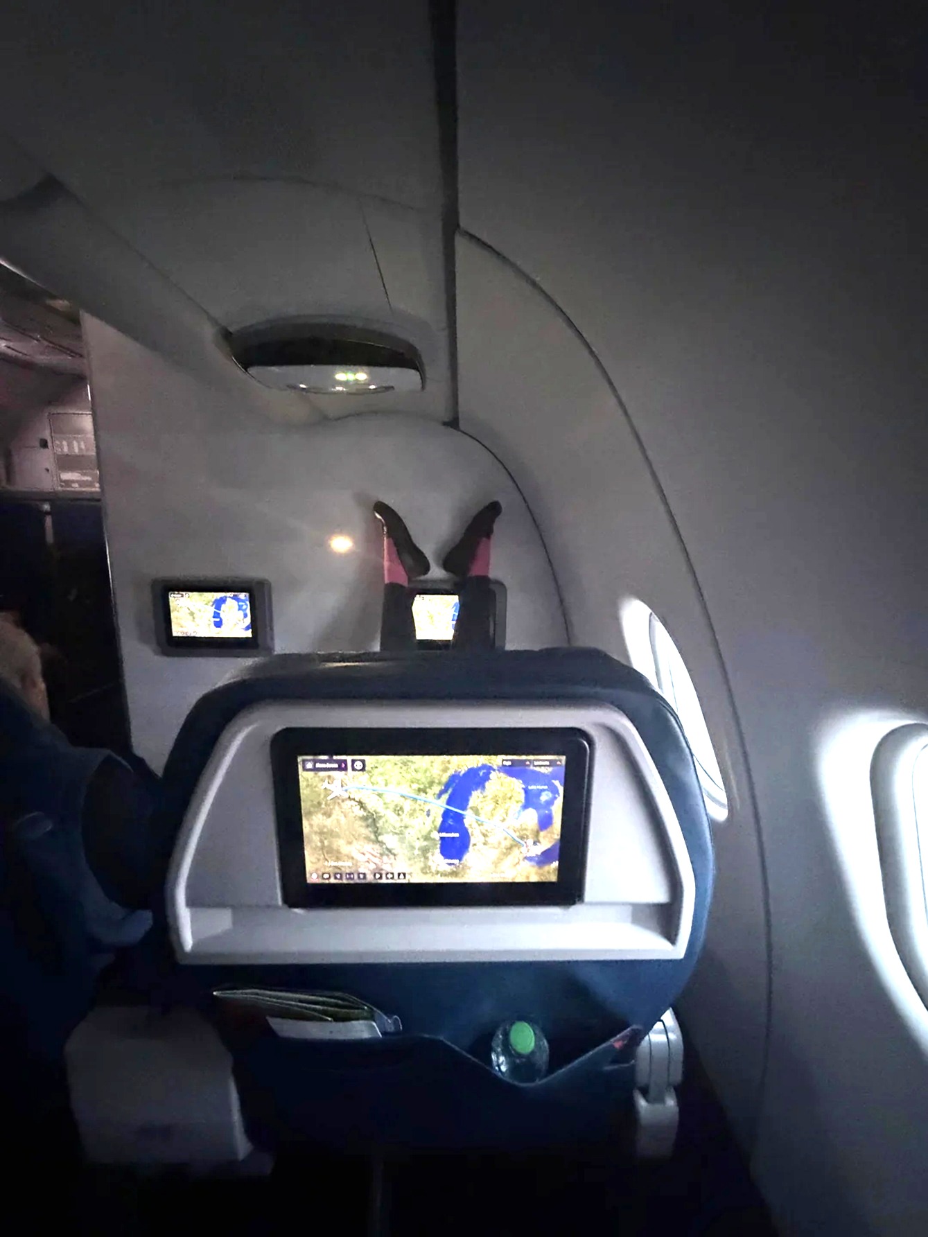 Delta Seatback Screen Shows The Route Map — But The Bulkhead Played The ...