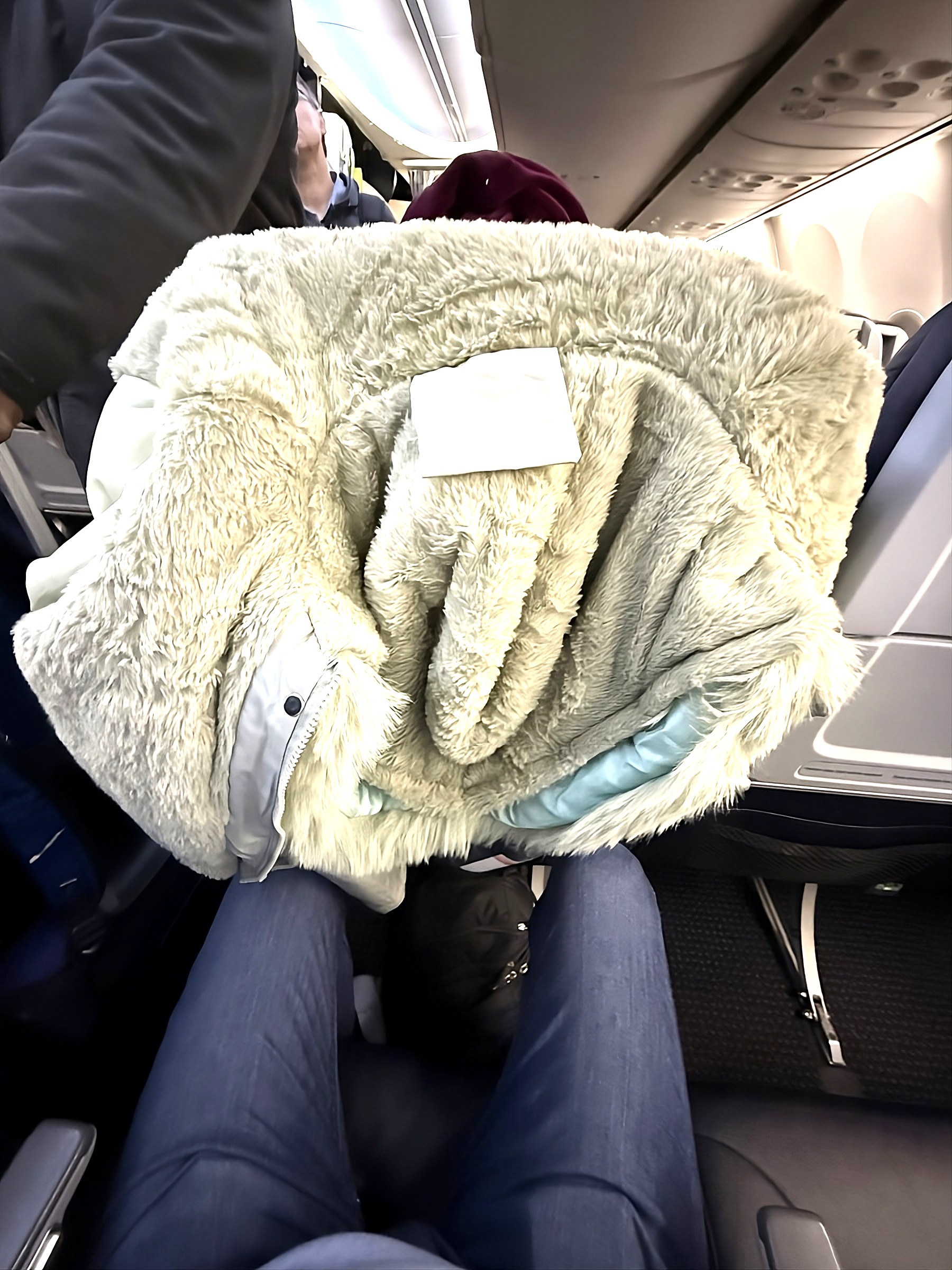 American Airlines Passenger Turns Seat Back Into Closet, Leaving ...