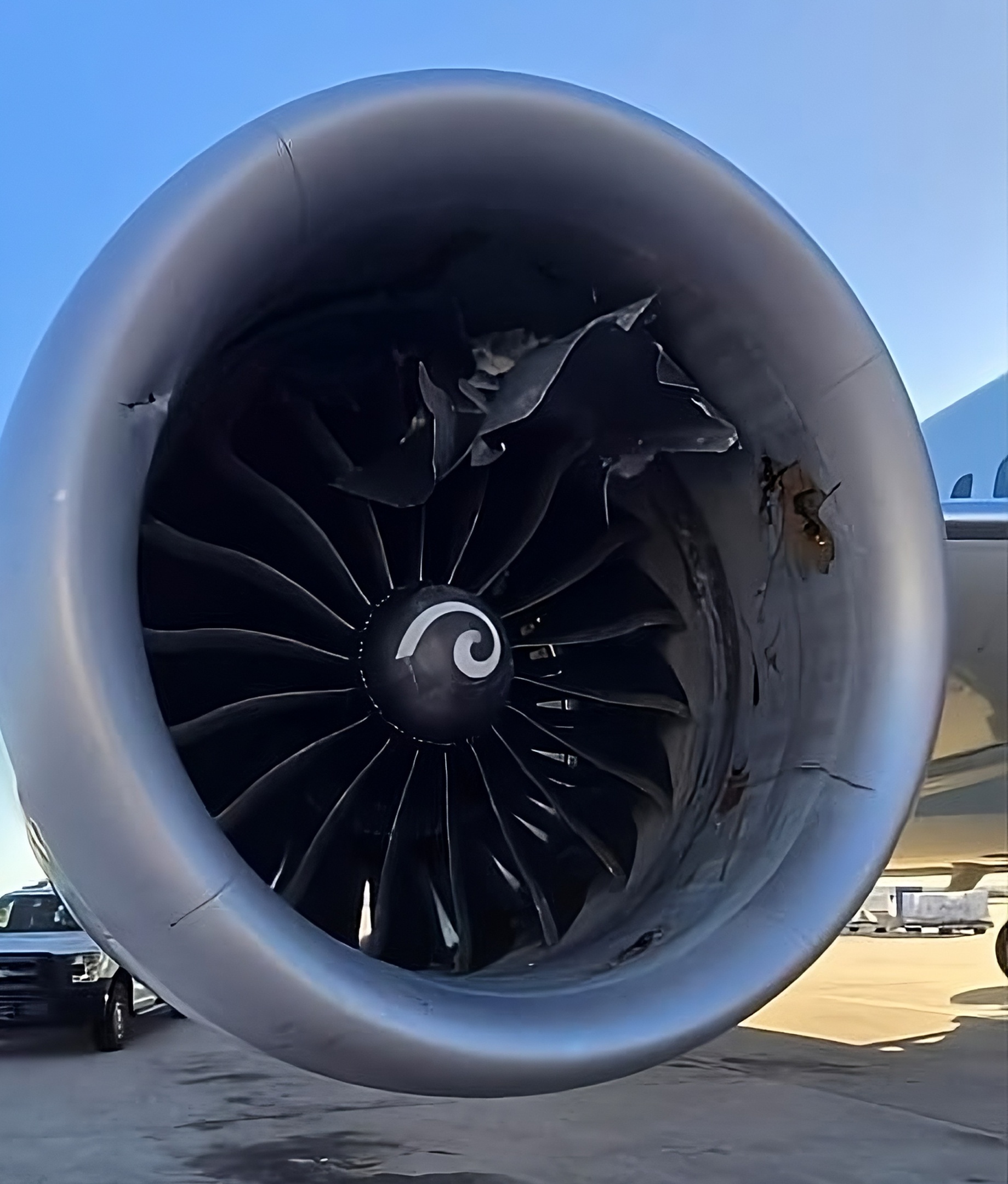 Passenger Ran Onto The Runway, Climbed Into A Delta Engine, Died—Now ...