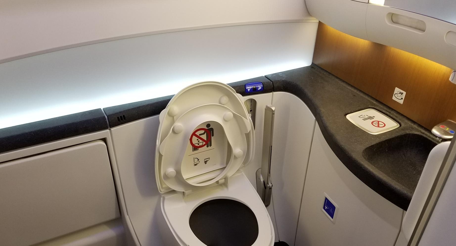 Crew Says Flight Attendants Ordered To Clear Toilets By Hand After Mid ...
