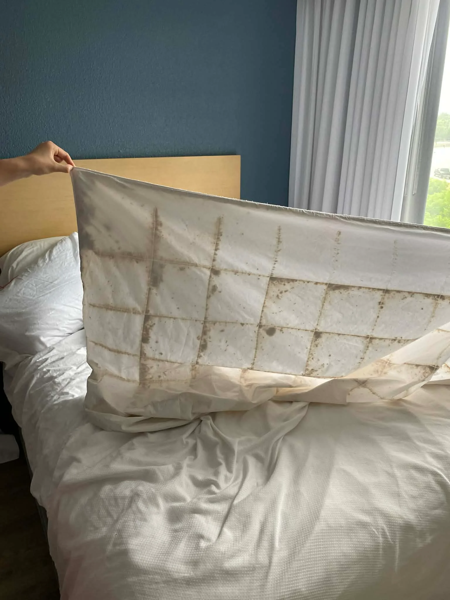 Hyatt Guest Got A Broken Room, Then An Occupied Room — And Finally ...